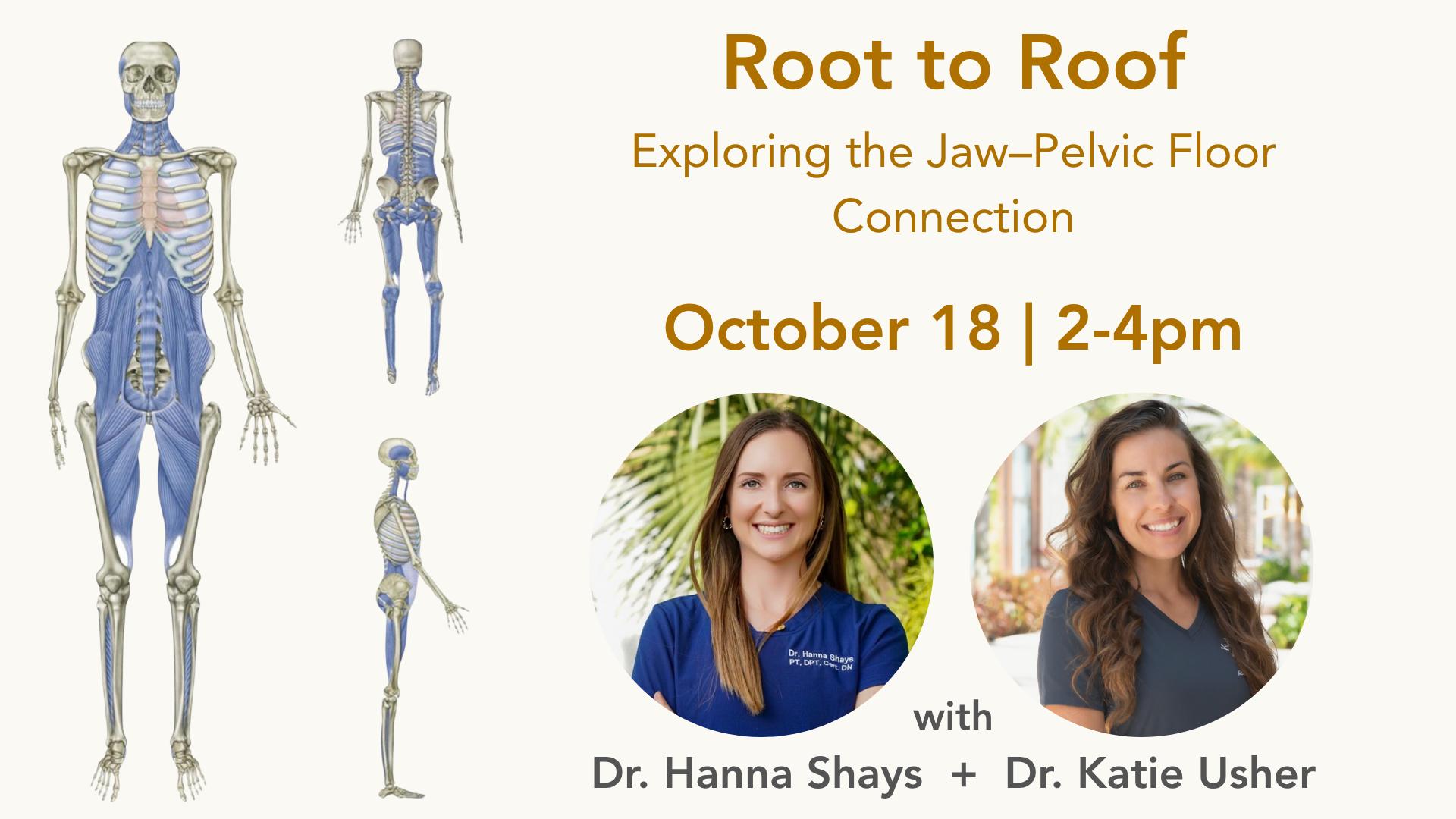 Root to Roof: Exploring the Jaw–Pelvic Floor Connection