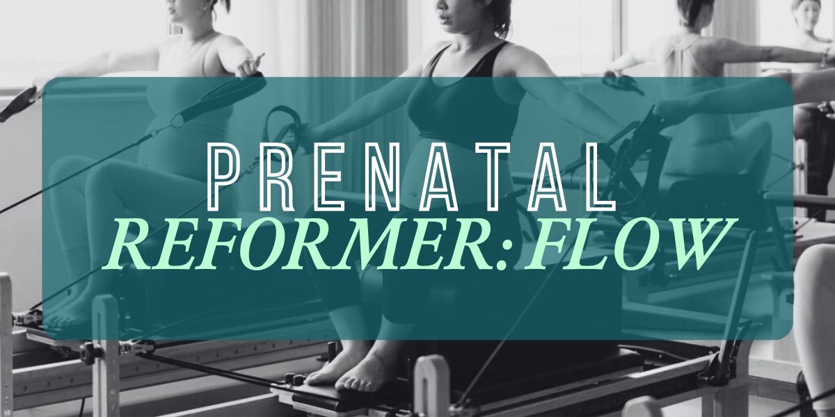 REFORMER: PRENATAL FLOW