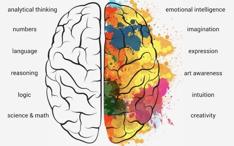 Brain Balance Yoga! Summer Series!
