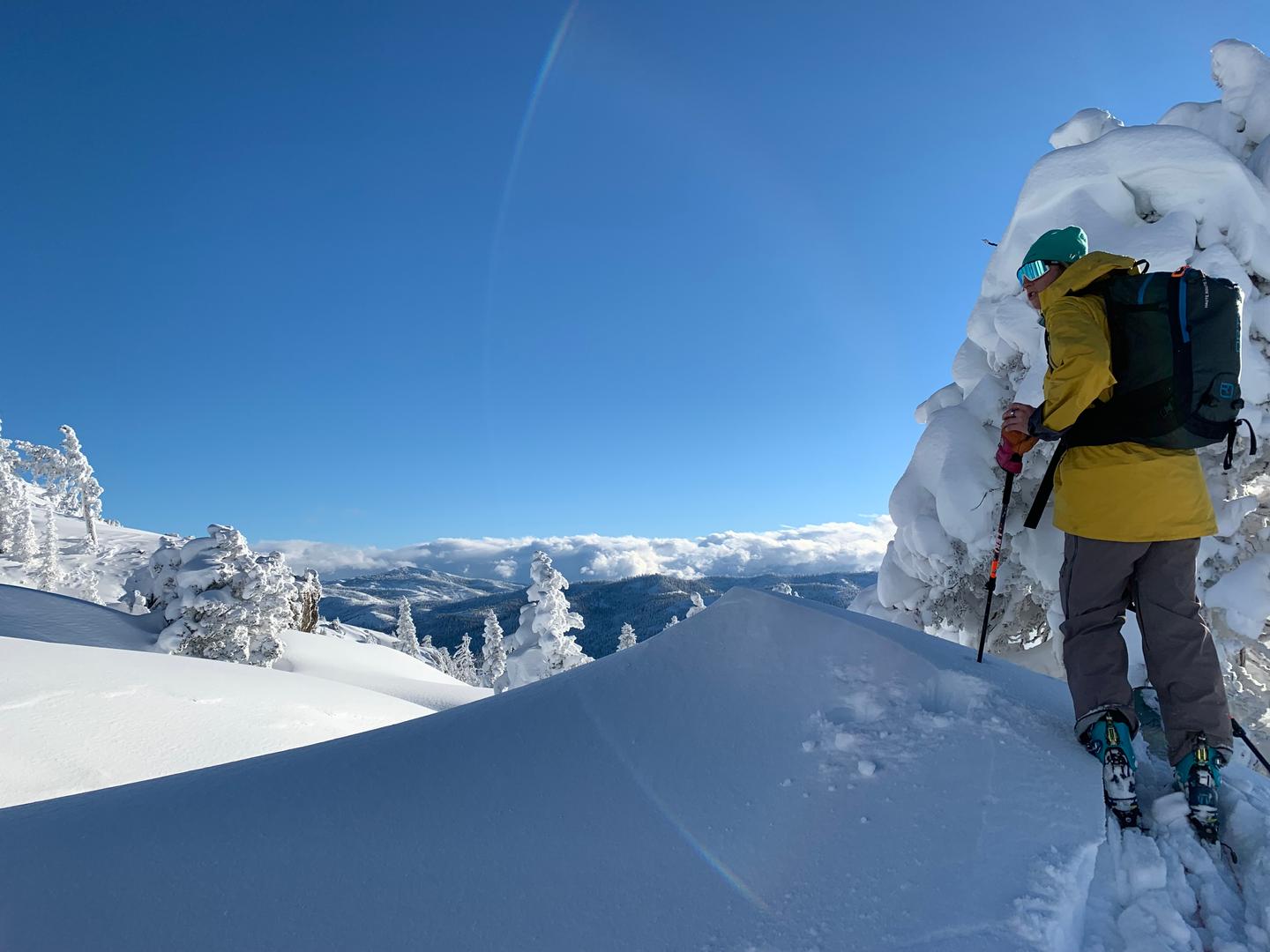 THIS Friday, December 19