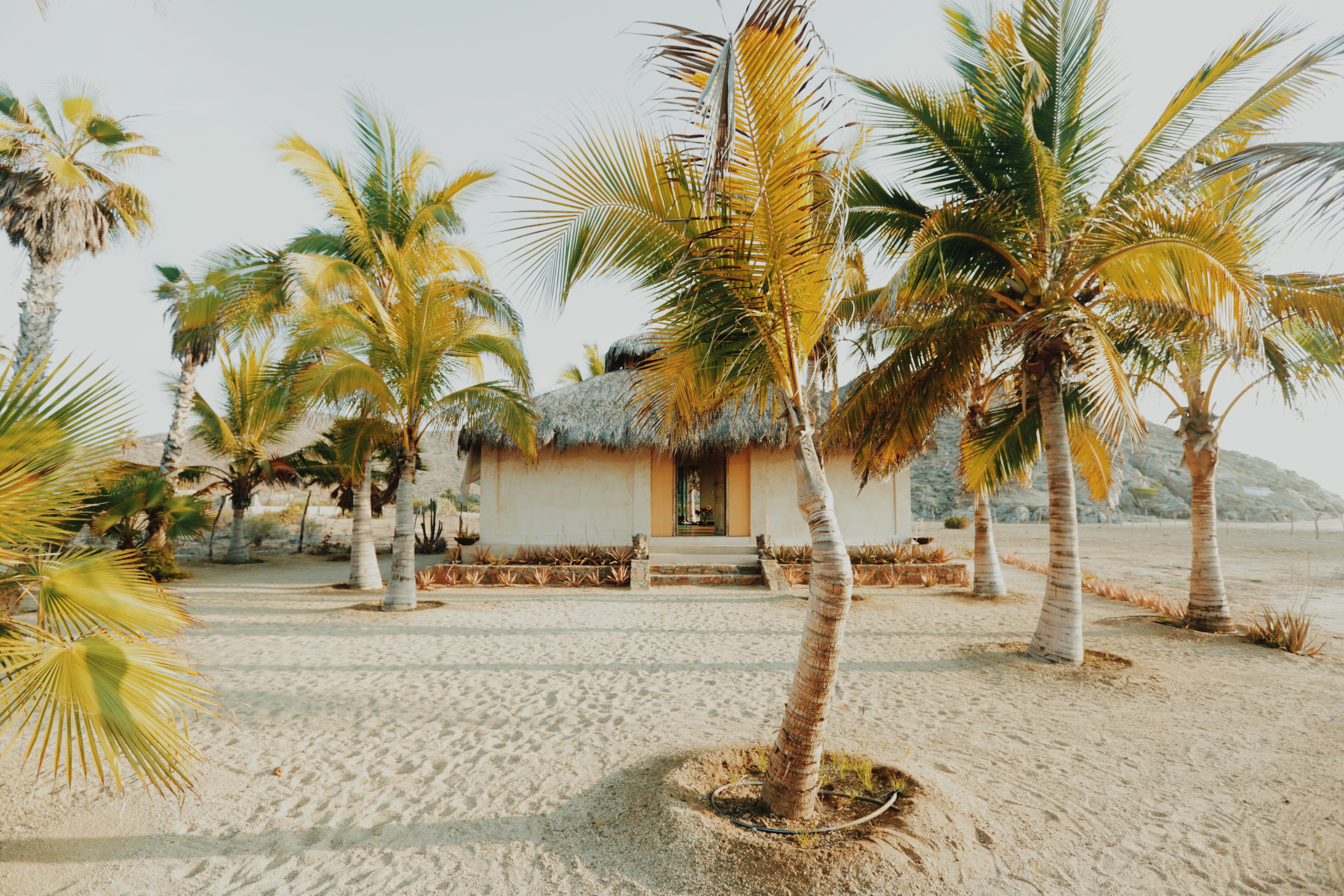 Baja Retreat ~~~ Yandara 2026