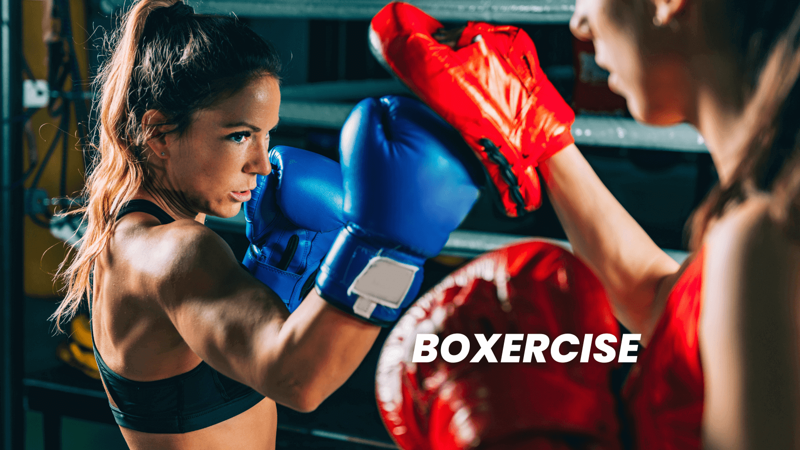 Boxercise